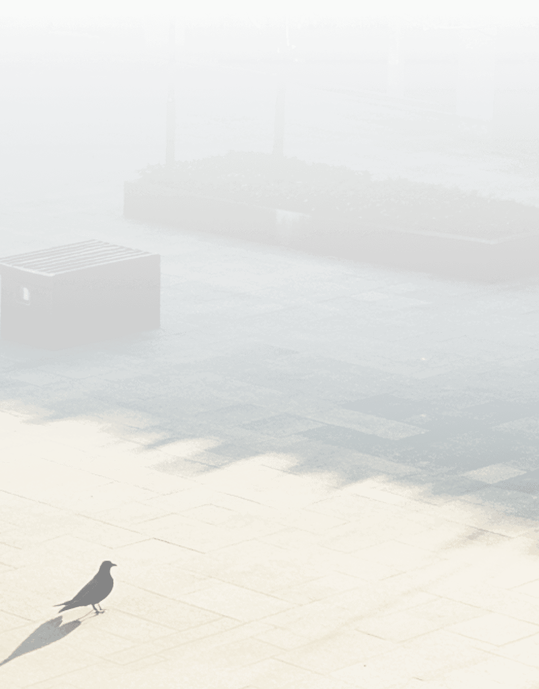 Abspaltung bei Unilever - The Magnum Ice Cream Company kommt